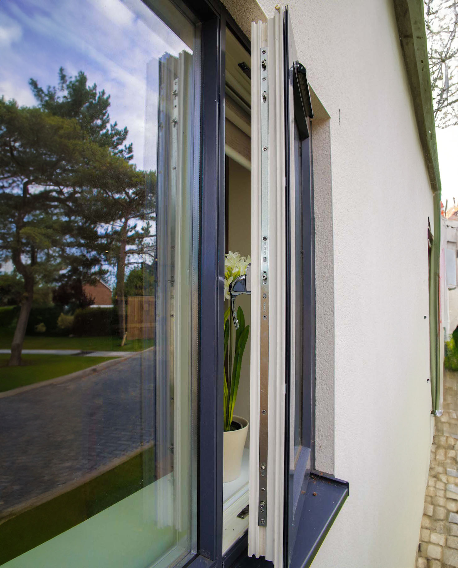 Contemporary Alu-Clad Windows and Doors - Lomax & Wood